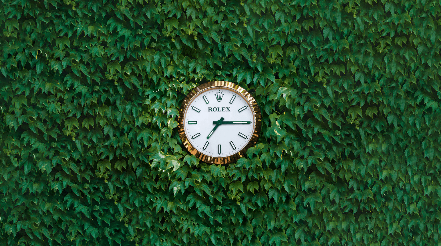 Rolex Family: How Legends, Ambassadors & Icons Define the Br